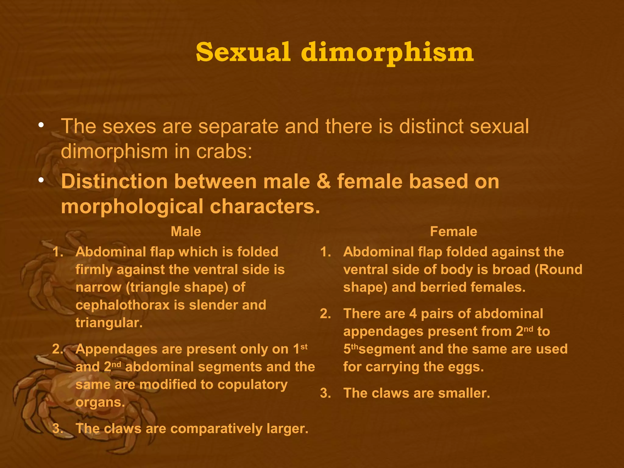 Reproductive biology and life cycle of crabs | PPT