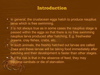 Reproductive biology and life cycle of crabs | PPT