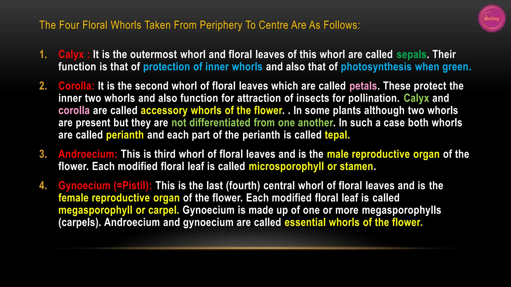 Reproductive biology of angiosperm.pptx