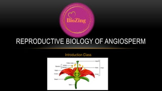 Reproductive biology of angiosperm.pptx