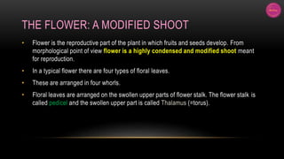 Reproductive biology of angiosperm.pptx