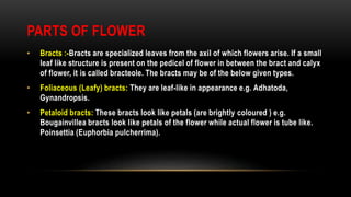 Reproductive biology of angiosperm.pptx