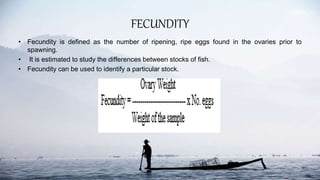 Reproductive biology of mugil cephalus | PPTX