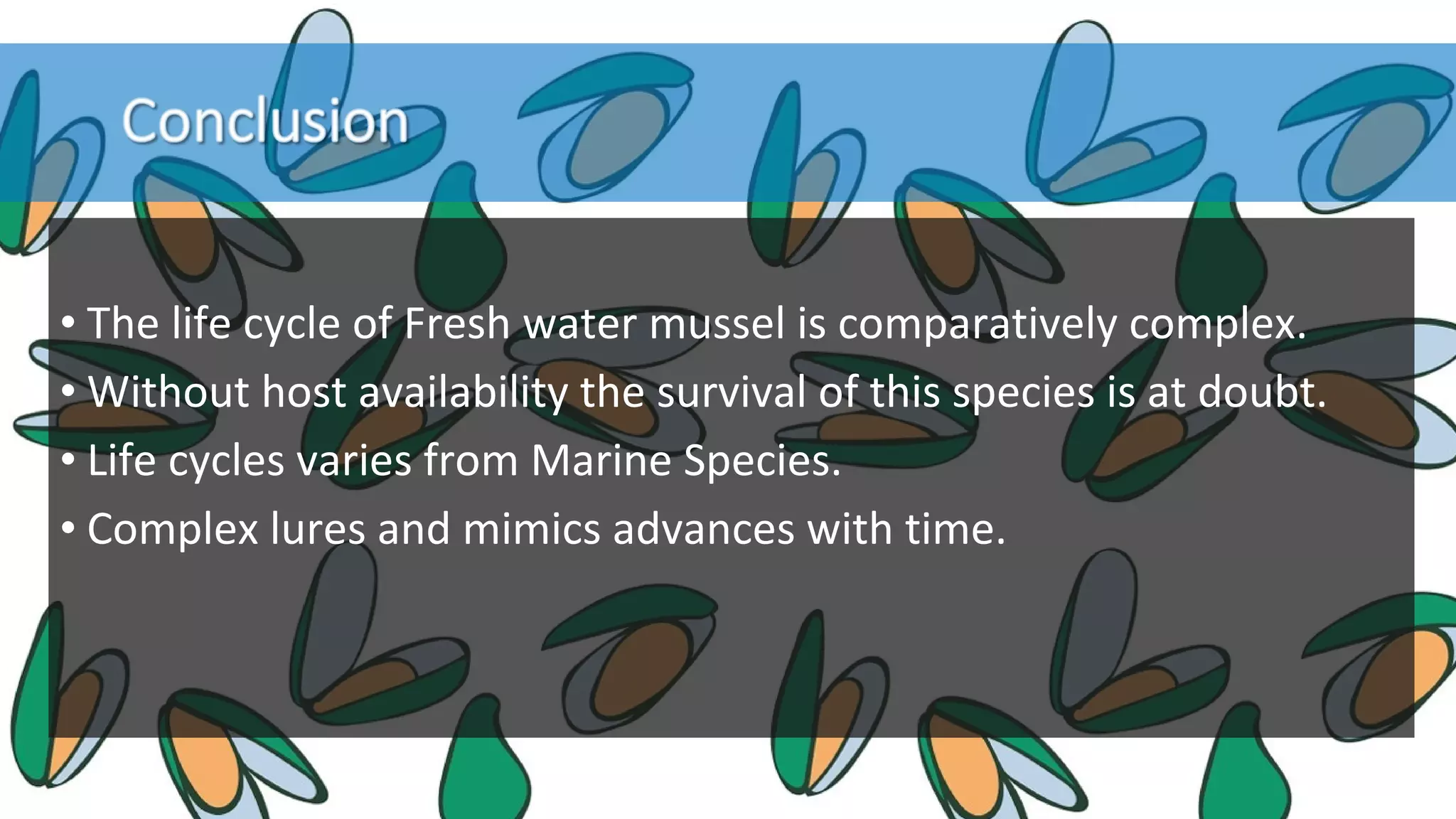 Reproductive biology of mussel | PPT