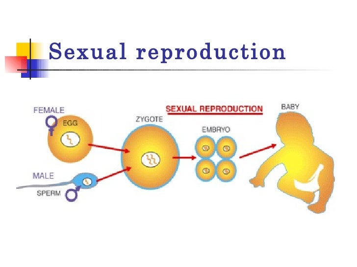 Reproductive Biotechnology