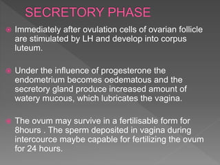 reproductive and menstrual cycle with detail | PPTX