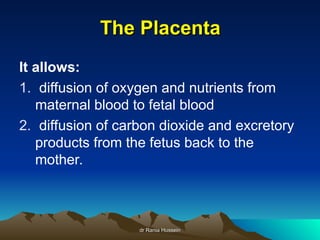reproductive cycle human Anatomy menstr. | PPT