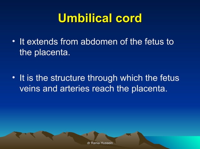 Reproductive Cycle Human Anatomy Menstr Ppt