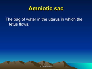 reproductive cycle human Anatomy menstr. | PPT