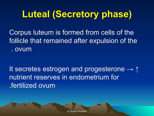 Reproductive Cycle Human Anatomy Menstr Ppt