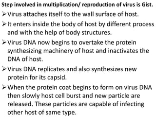 Reproductive cycle of virus | PPTX