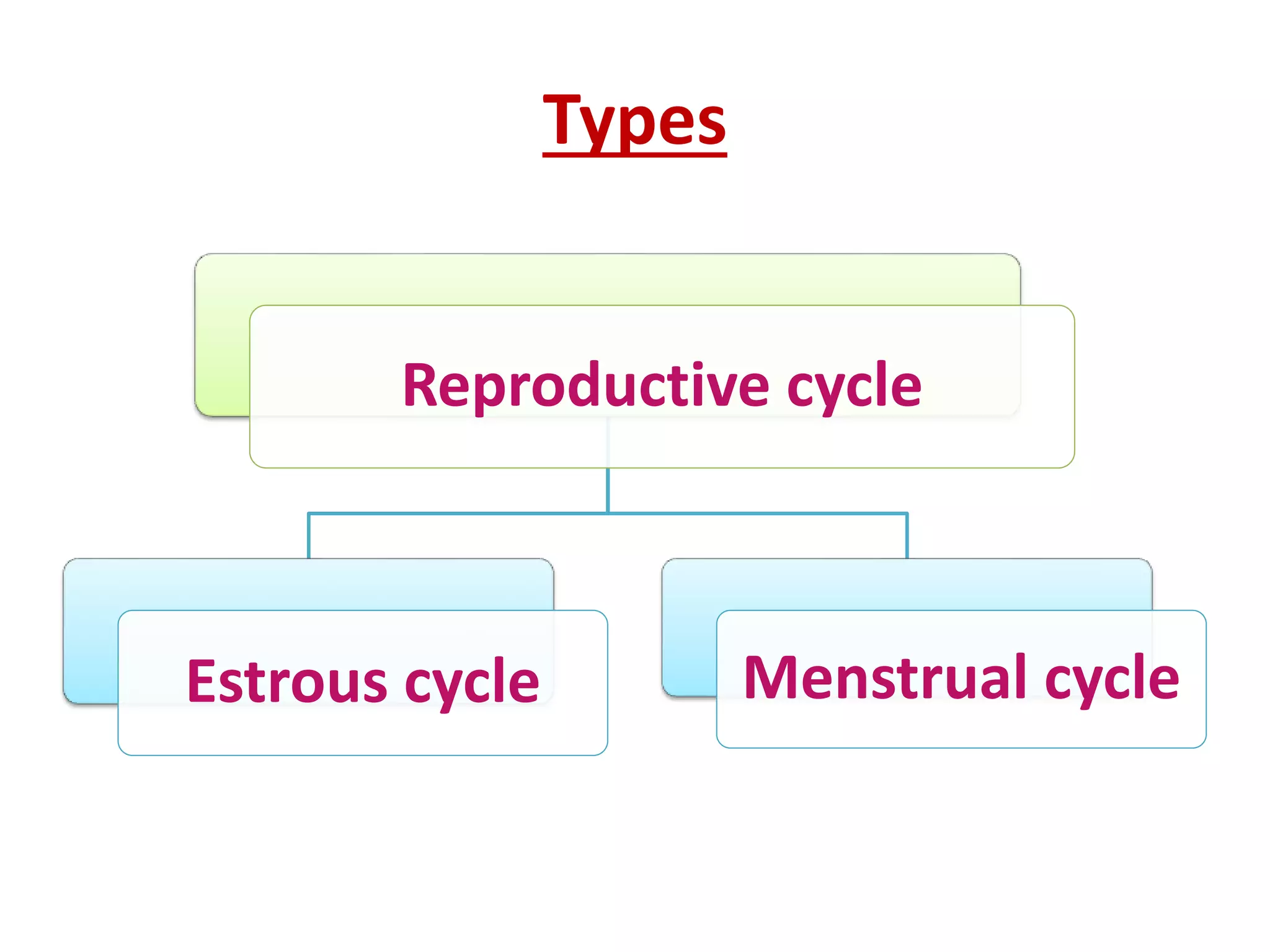 Reproductive cycles in mammals | PPTX