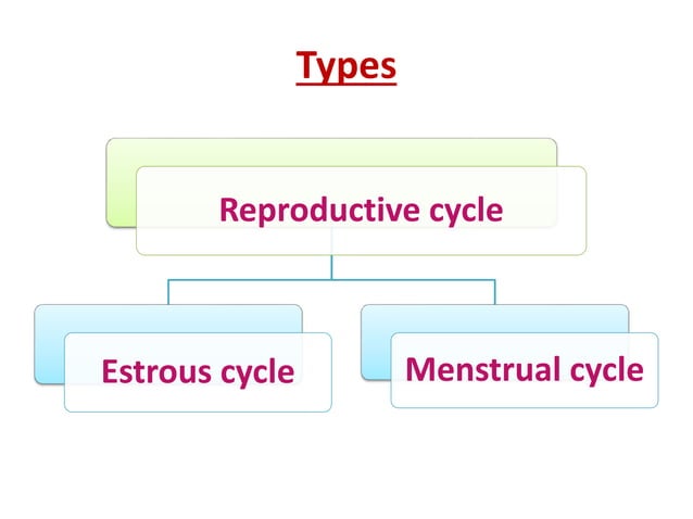 Reproductive cycles in mammals | PPTX
