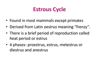 Reproductive cycles in mammals | PPTX