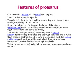Reproductive cycles in mammals | PPTX