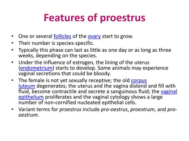Reproductive cycles in mammals | PPTX