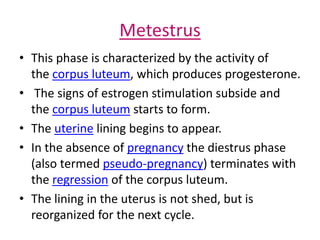 Reproductive cycles in mammals | PPTX