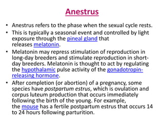 Reproductive cycles in mammals | PPTX