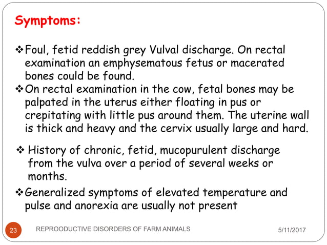 Reproductive disorders | PPTX | Pregnancy | Reproductive Health