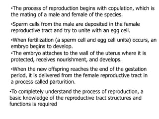 Reproductive endocrinology.pdf