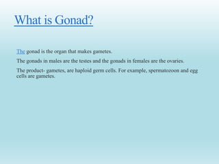 Reproductive endocrinology.pptx