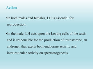 Reproductive endocrinology.pptx