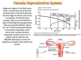 REPRODUCTIVE ENDOCRINOLOGY1.pptx OBS/GYN | PPTX