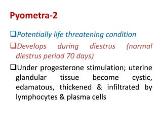 Reproductive & Genital Syst-2; Pyometra.pptx