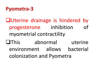 Reproductive & Genital Syst-2; Pyometra.pptx