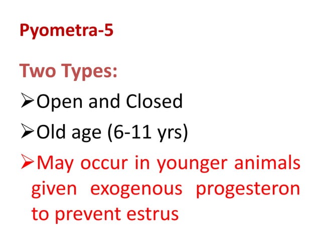 Reproductive & Genital Syst-2; Pyometra.pptx