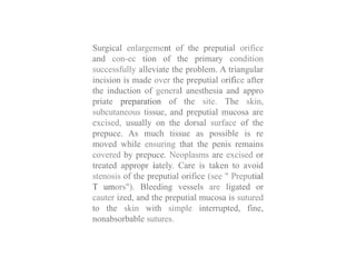 Reproductive & Genital System-3-sssms1.pptx