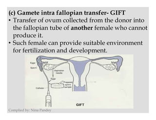 Reproductive health- XII | PPT