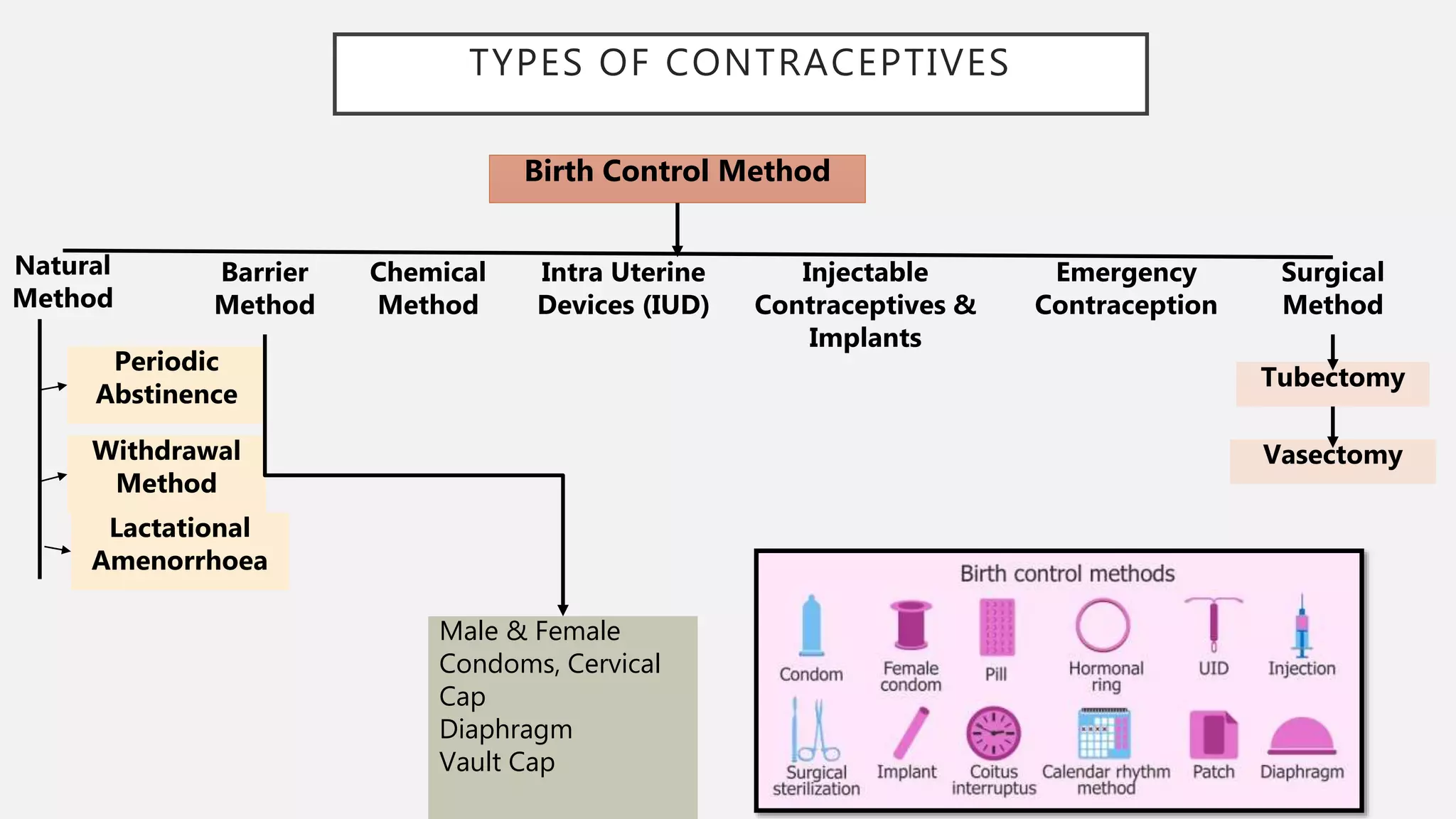 Reproductive health Class 12 CBSE | PPTX