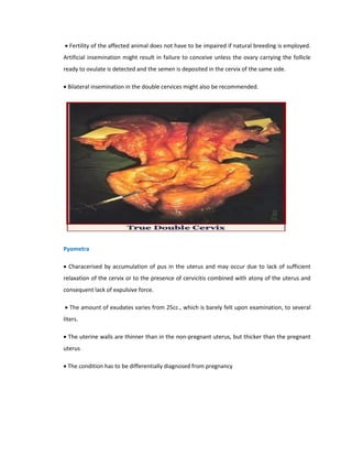 reproductive health of animals education is for all animal health ...