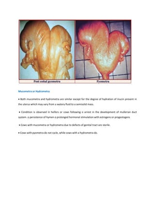 reproductive health of animals education is for all animal health ...