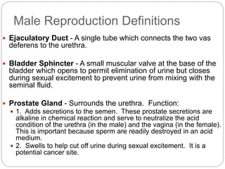 Reproductive health anantomy | PPTX | Infertility | Reproductive Health