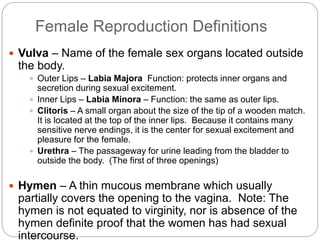 Reproductive health anantomy | PPTX | Infertility | Reproductive Health