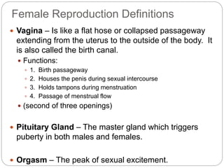 Reproductive health anantomy | PPTX | Infertility | Reproductive Health