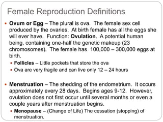 Reproductive health anantomy | PPT