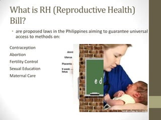 Reproductive health bill | PPTX