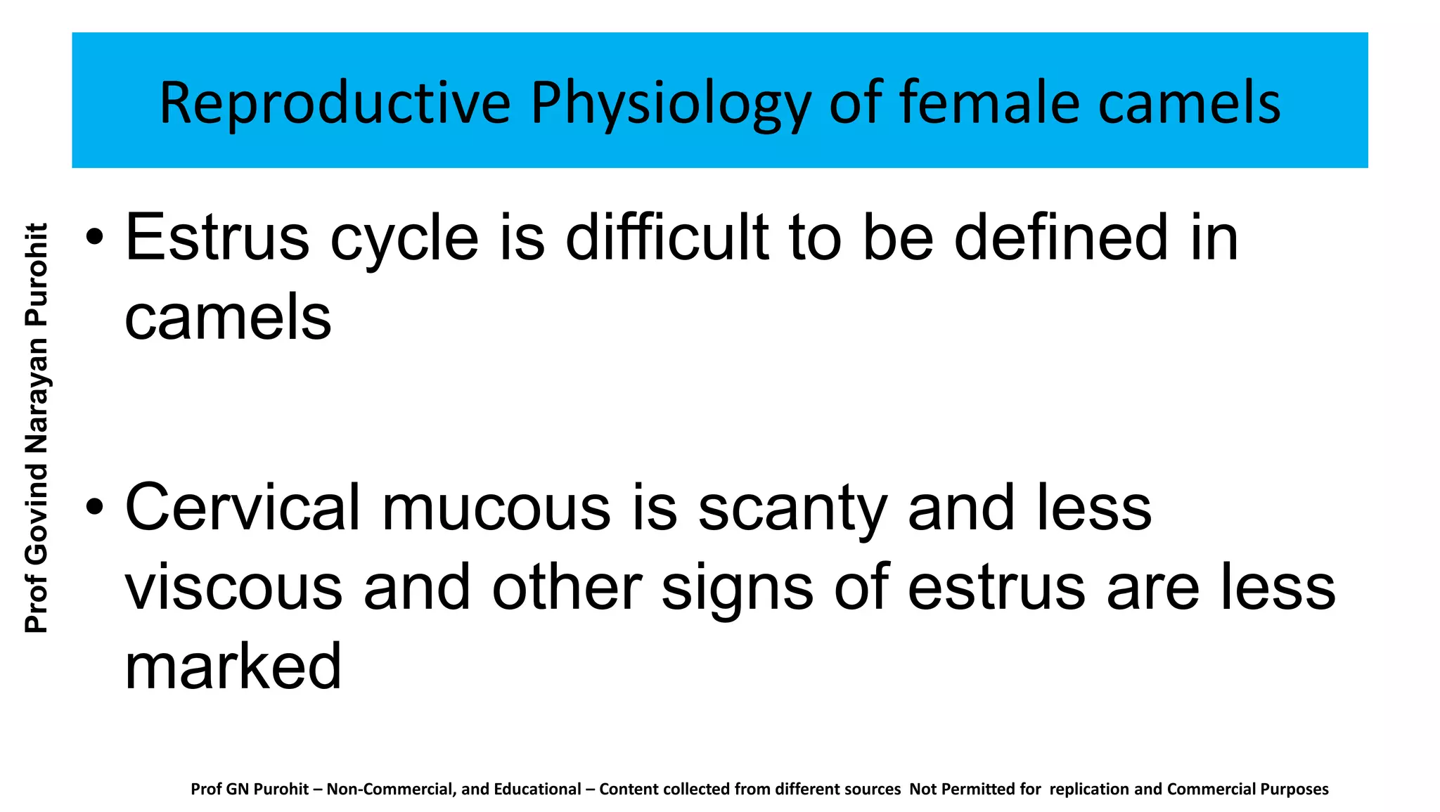 Reproductive health management for camels | PDF