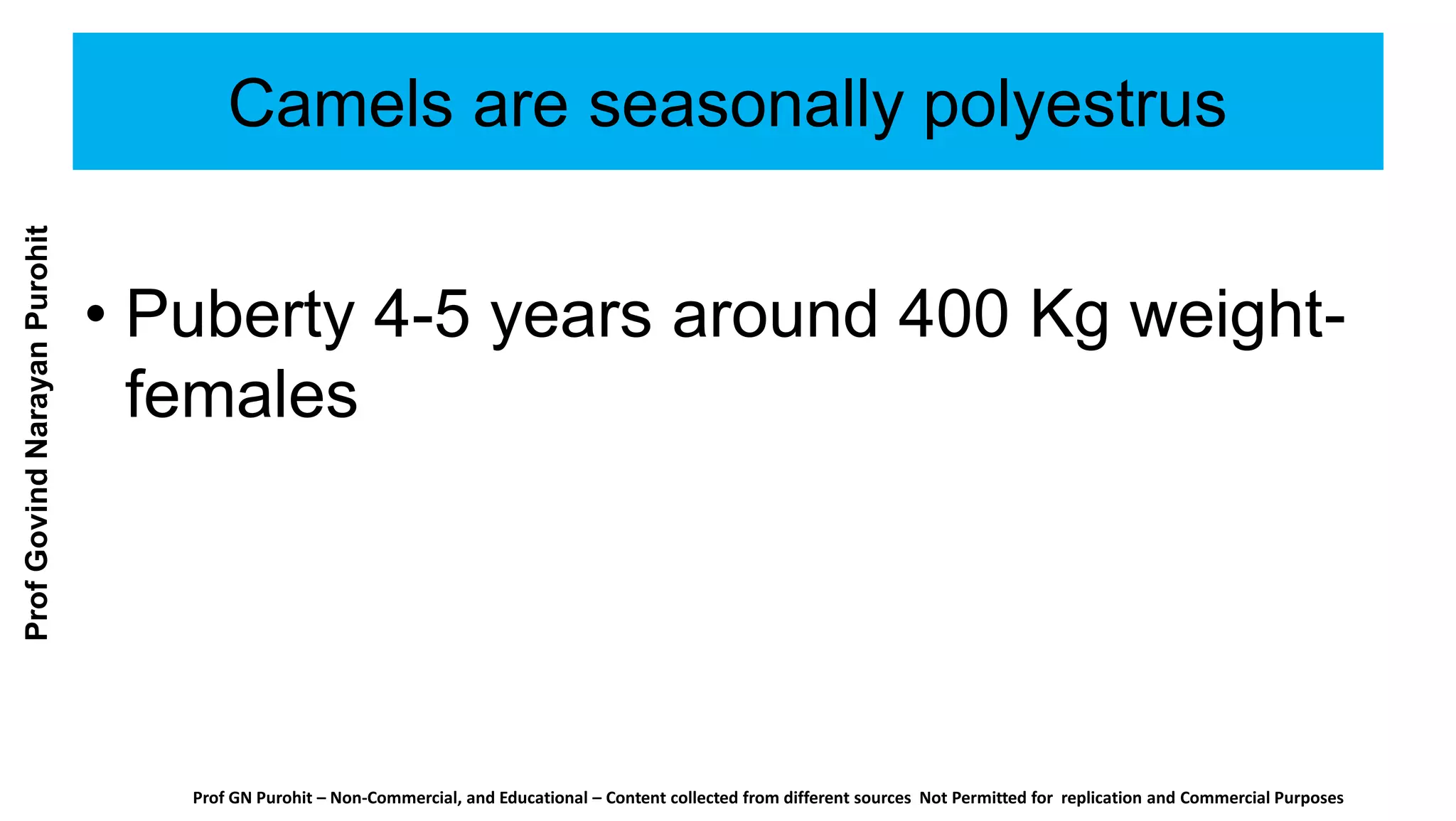 Reproductive health management for camels | PDF