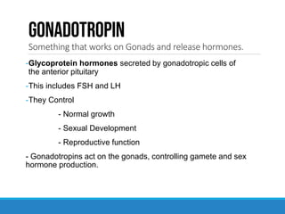 Reproductive Hormones | PDF