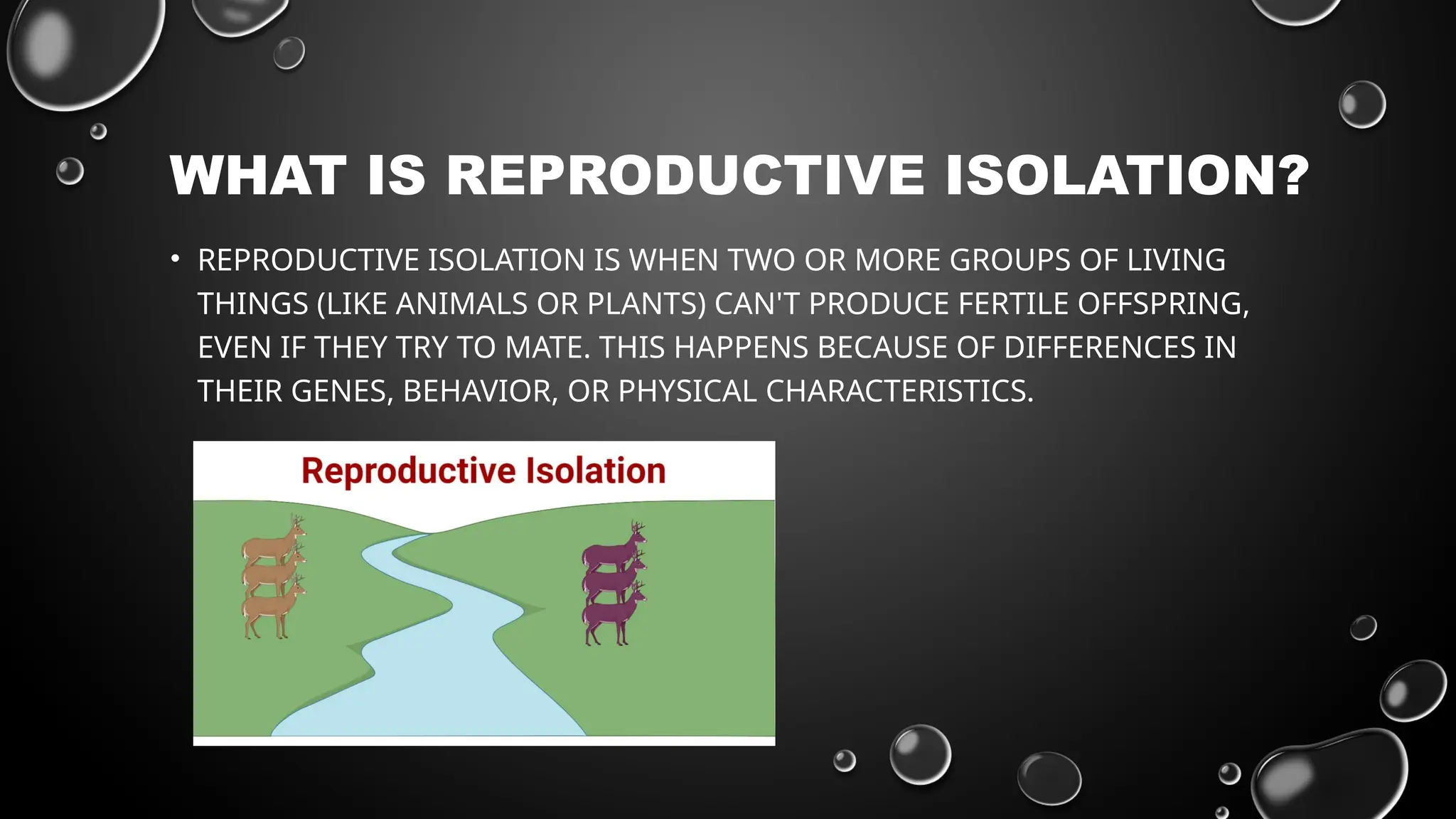 Reproductive isolation (1).,,,,,,,,,,,,,,,,,,,,,,,,,,,,pptx | PPTX