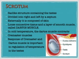 Reproductive new | PPT