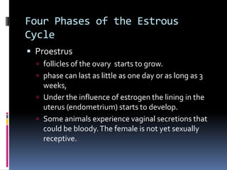 Reproductive organs | PPT