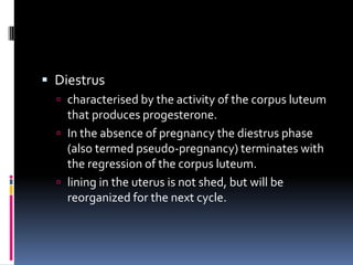 Reproductive organs | PPT