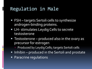 Reproductive organs | PPT