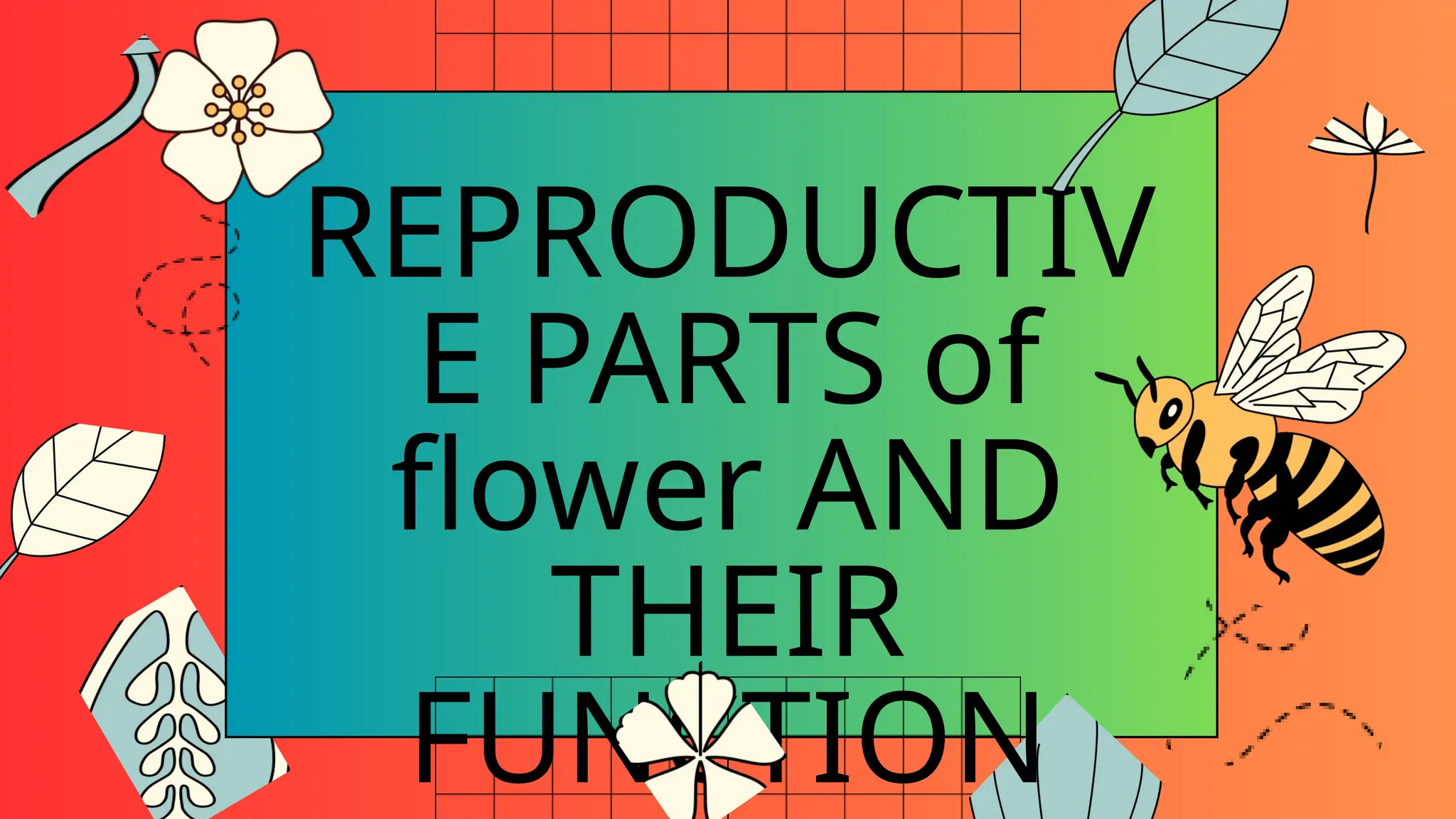 Reproductive Parts of Flowers for grade 5.pptx