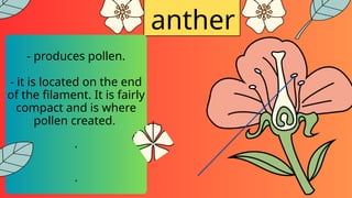 Reproductive Parts of Flowers for grade 5.pptx